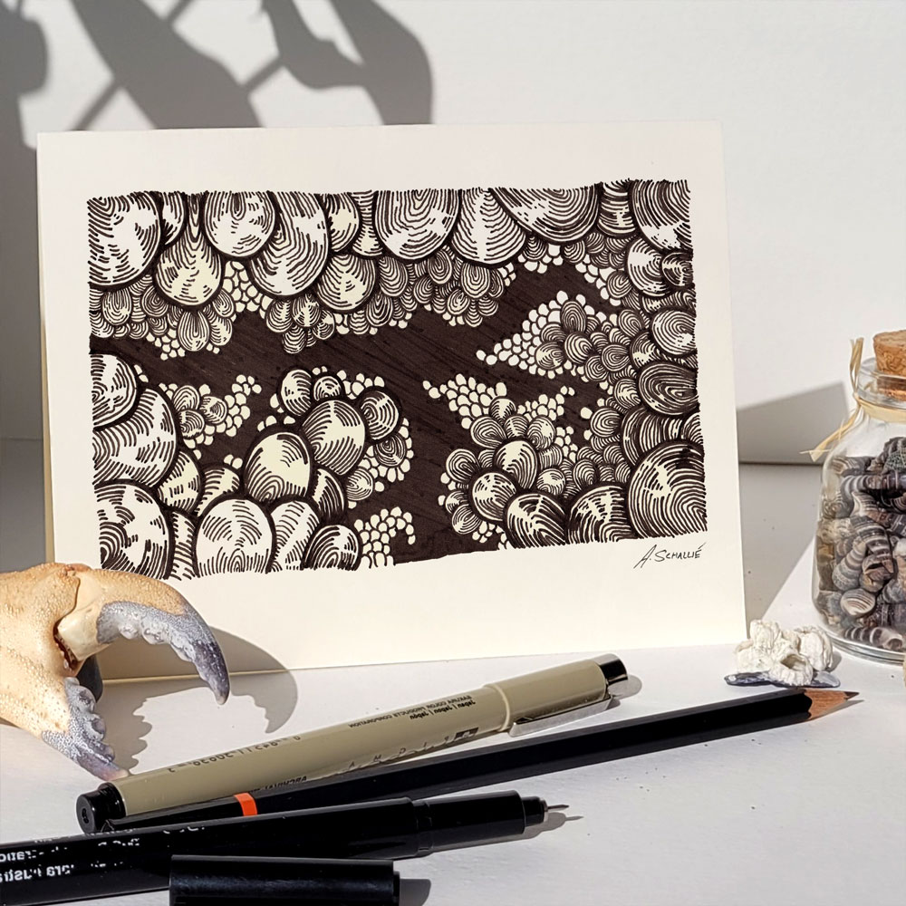 Tidepools - Mussels Card - Hammer and Pen Artists Collective